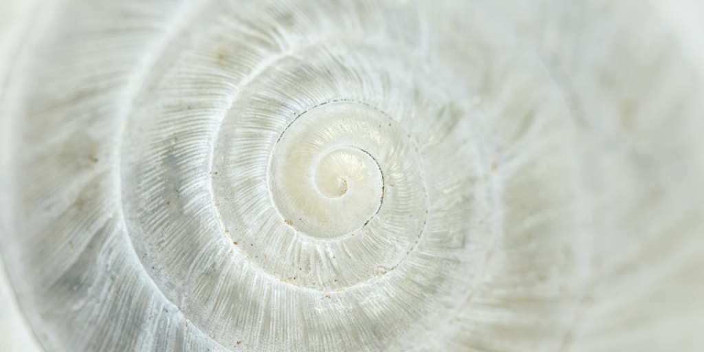 ¿Qué es una función de "Snapshot" en las soluciones de almacenamiento ...