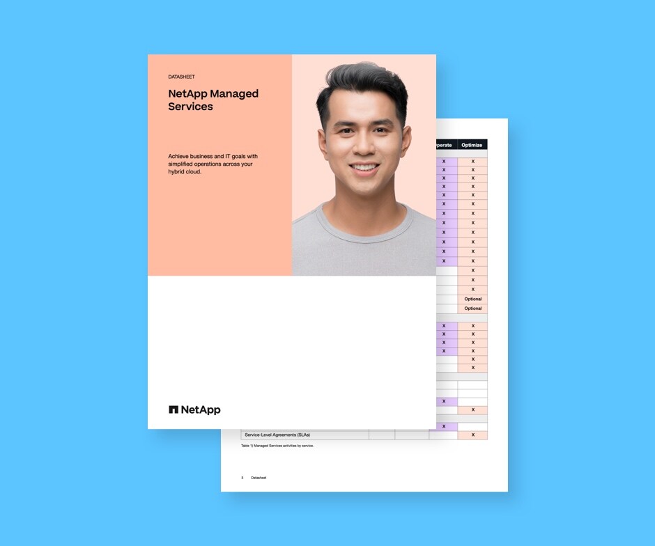 Servizi gestiti IT per favorire la trasformazione IT | NetApp