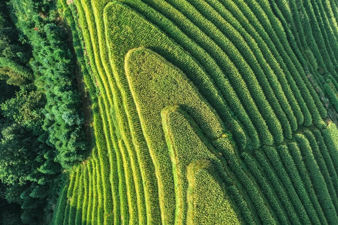 Azure NetApp Files - ANF - 스토리지 서비스 및 솔루션 | NetApp