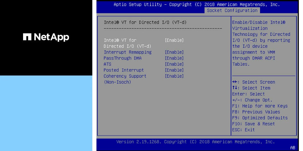 ONTAP Select Software RAID with NVMe | NetApp