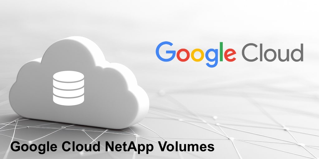 Announcement: Encrypted backups of Google Cloud NetApp Volumes | NetApp