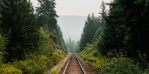 Charting a powerful path