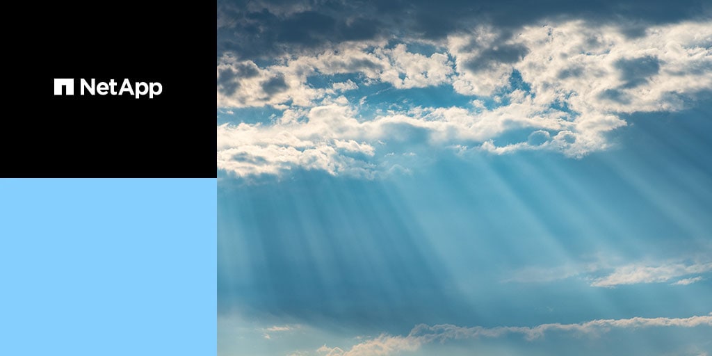 An Education in NetApp Cloud Data Services: The Facts