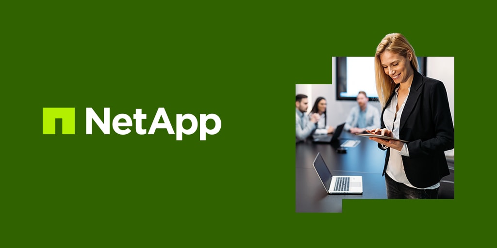 Logotipo De Socio De Netapp NetApp Logo Vector EPS & PNG Free Download