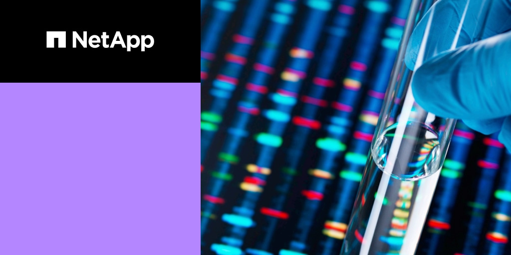 Western U.S. Healthcare Provider NetApp Data Fabric Case Study | NetApp