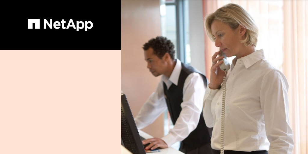 Data and Analytics Improve Customer Profitability Case Study – NAVIS | NetApp