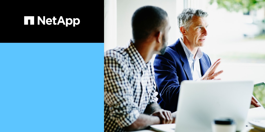 Phoenix Insurance Company Case Study | NetApp