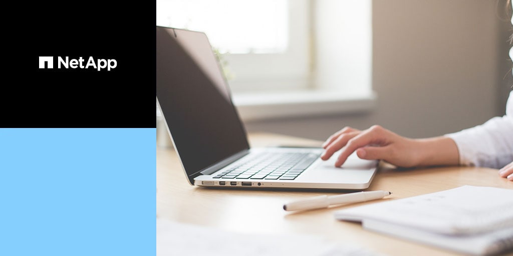 Work from Home with Horizon View Cloud and NetApp – Remote Connected ...